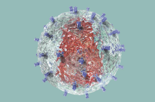 Phase 1 clinical trial of HIV vaccine starts in Africa to evaluate ...